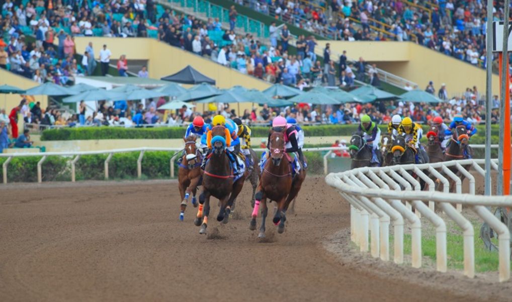 Jockey Fest 2025: El festival que une caballos, música y tradición con ...