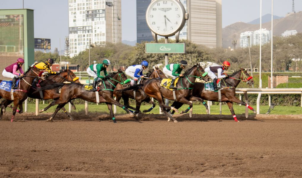 Derby Nacional: El Jockey Club del Perú celebra la "Carrera del Año ...